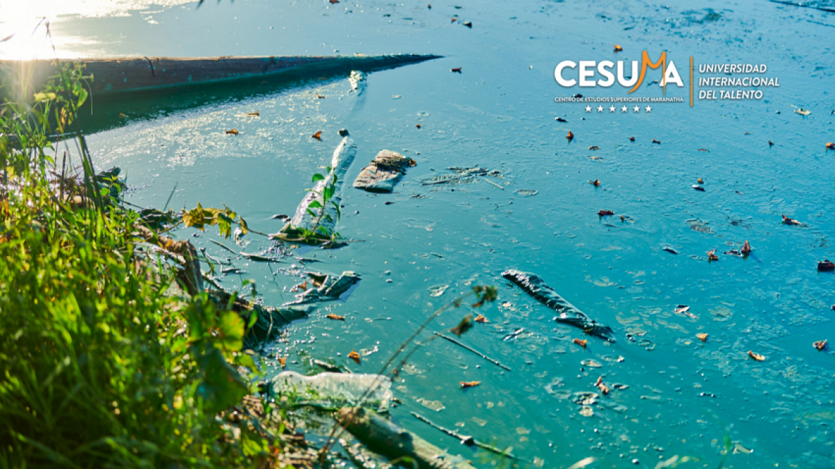 Enfermedades causadas por la contaminación del agua - Colombia Verde