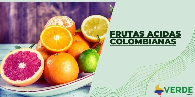 Frutas acidas colombianas - Colombia Verde