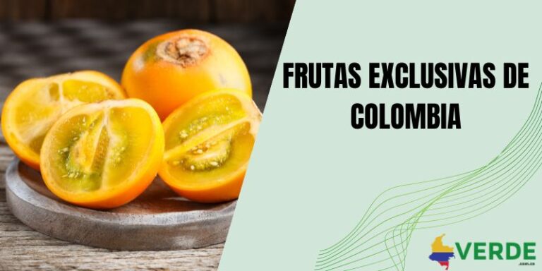 Principales frutas consumidas en Colombia - Colombia Verde