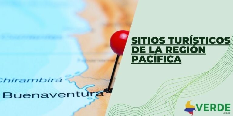 El Pasillo De La Región Andina Colombia Verde