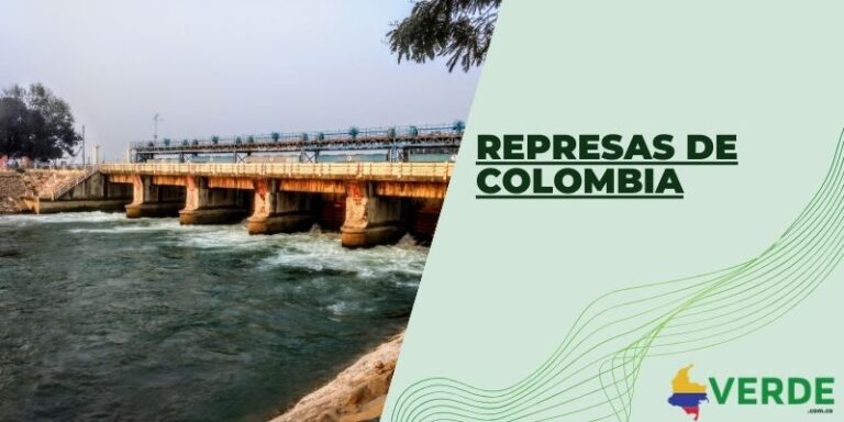Partes de un rio y sus características - Colombia Verde