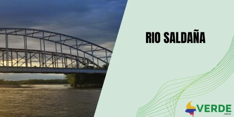 Rio Saldaña - Colombia Verde